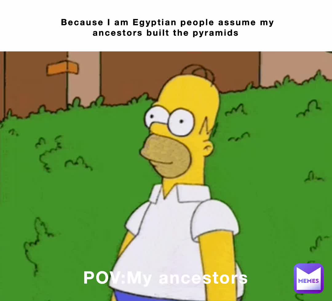 Because I am Egyptian people assume my ancestors built the pyramids POV ...