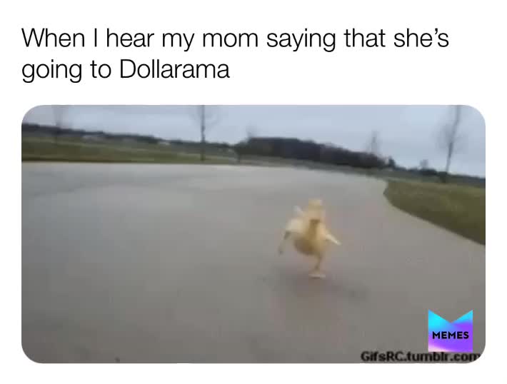 Post by @memes_4_life_0000 | Memes