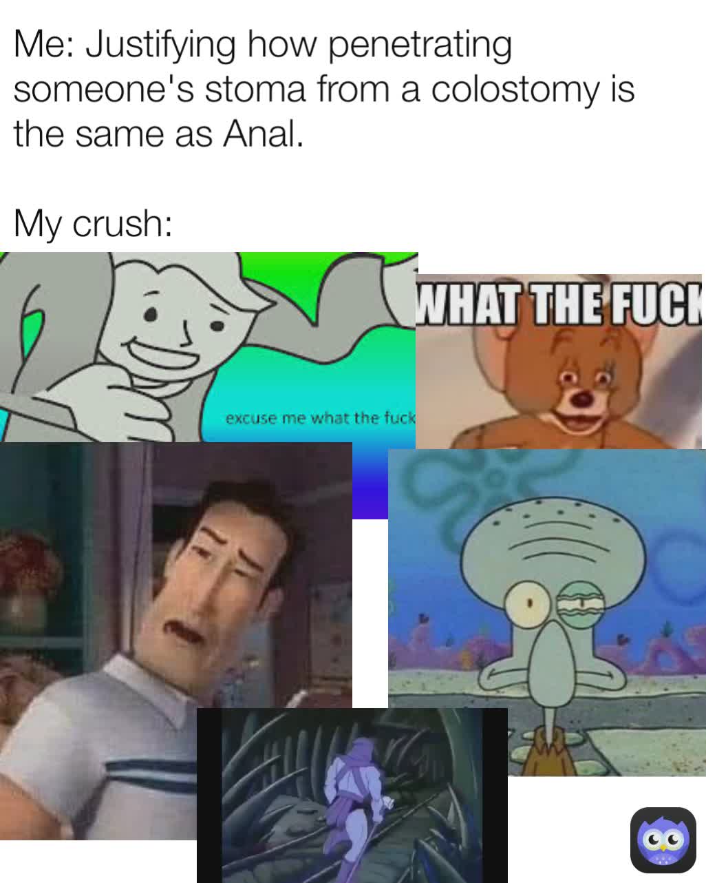 Me: Justifying how penetrating someone's stoma from a colostomy is the ...