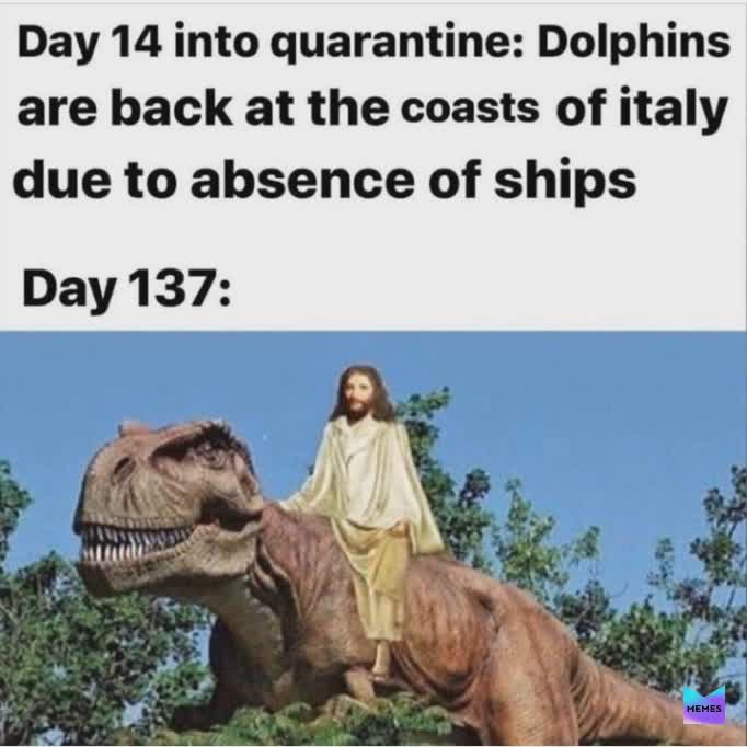 Post by @call_me_papi_or_dad | Memes