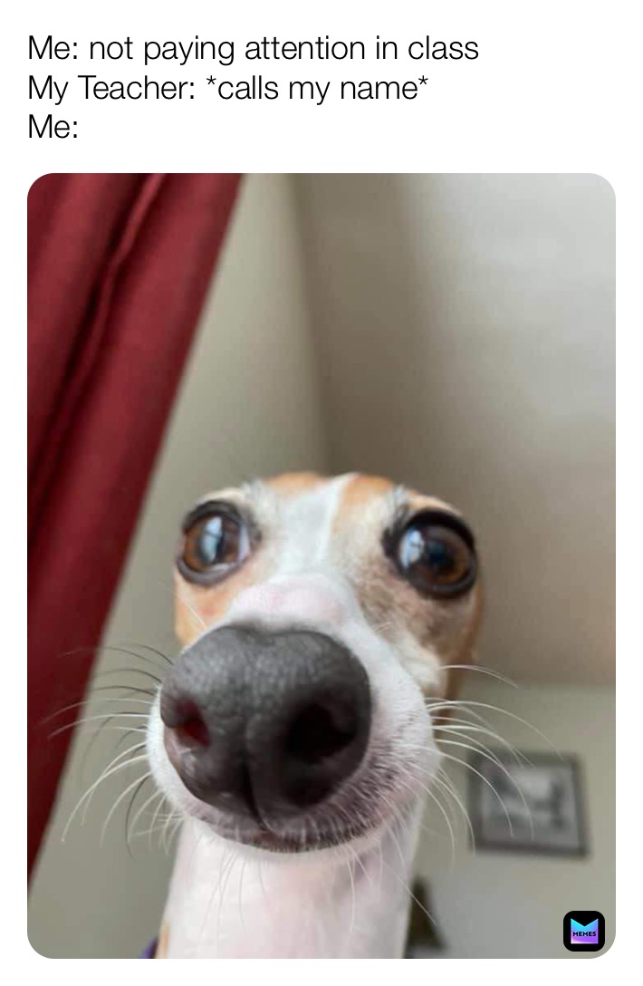 Post by @memeh_1 | Memes