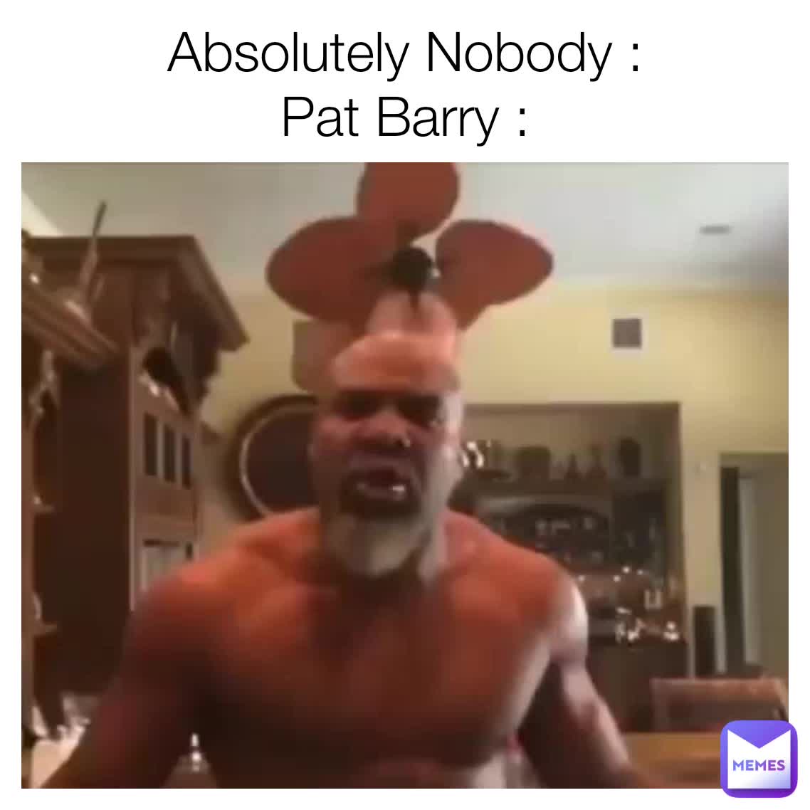 Absolutely Nobody : Pat Barry : | @mememajesty27 | Memes