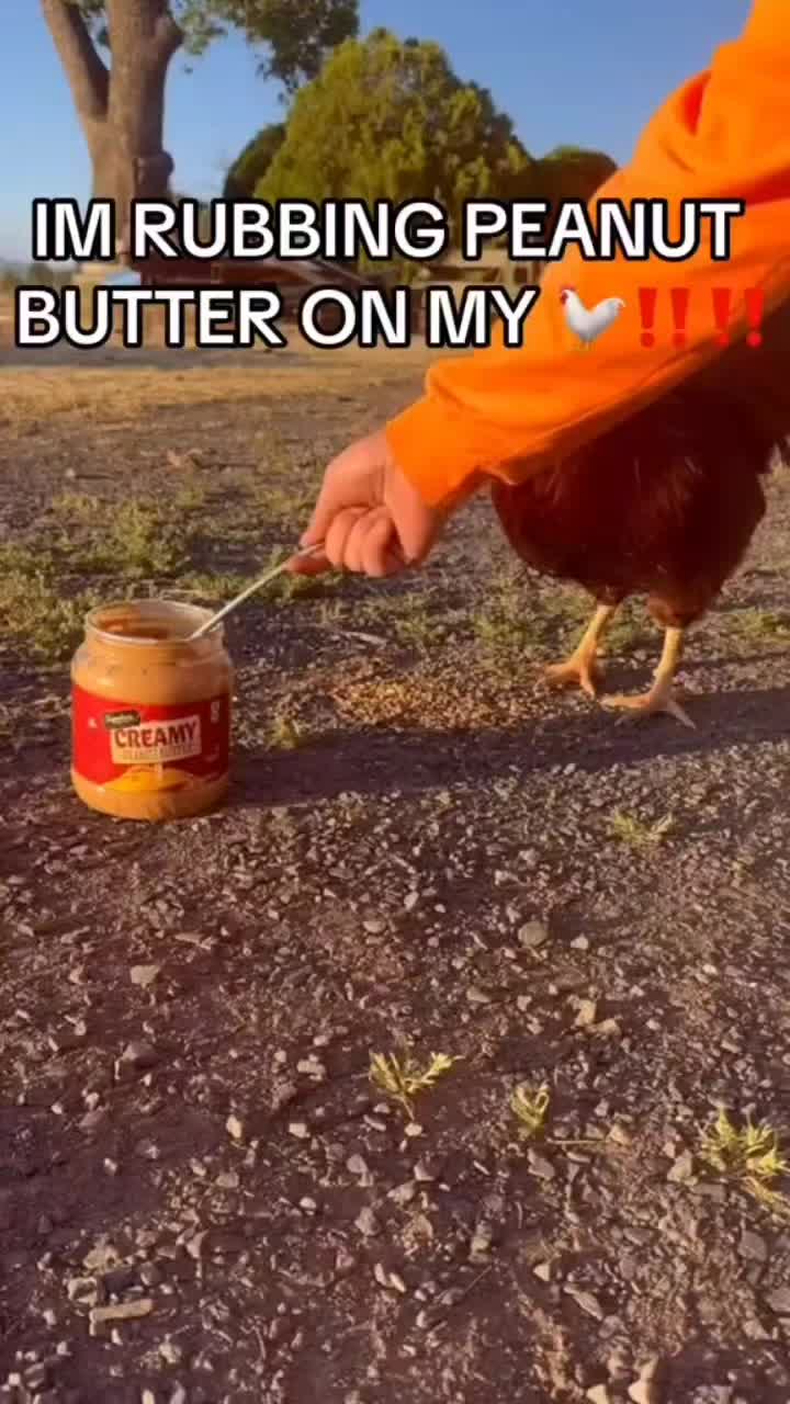 Post by @cheeeze | Memes