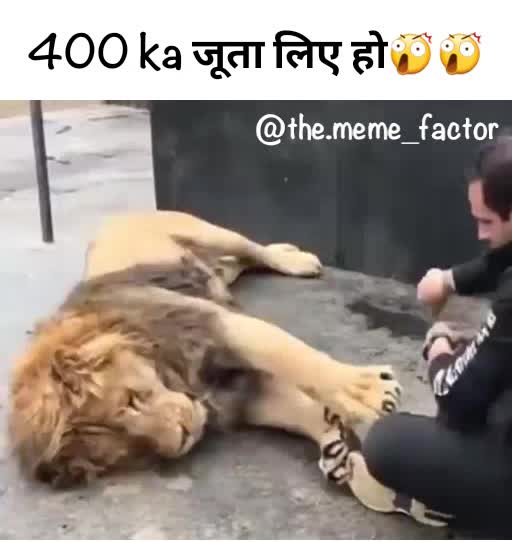 Post by @The.meme_factor | Memes