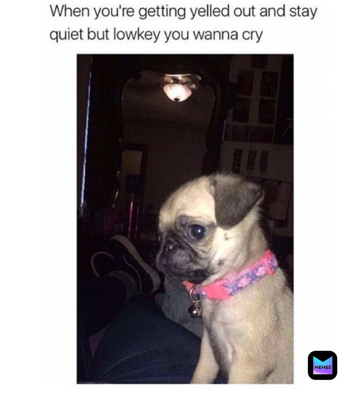 Post by @that_weird_one | Memes