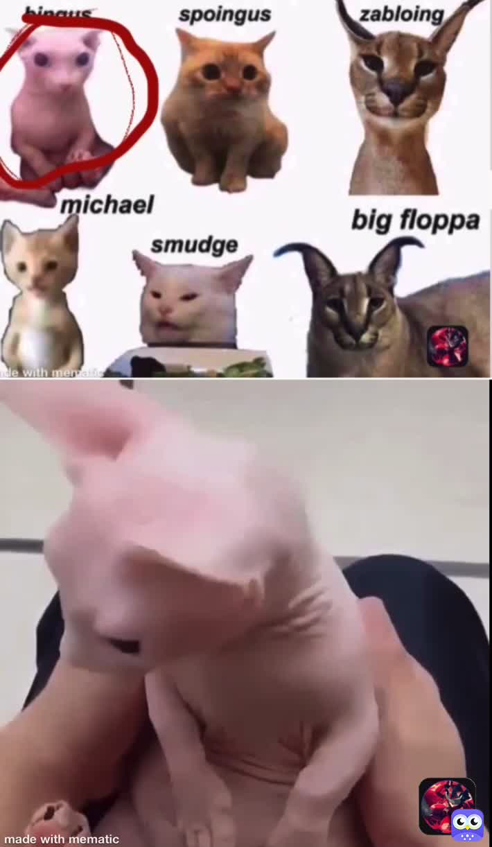 Post by @Toppat | Memes