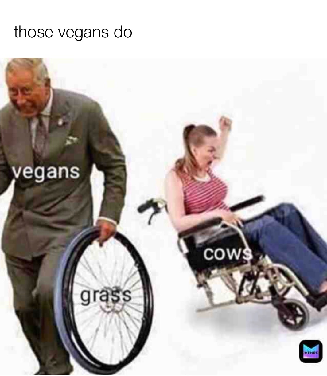 Post by @meme_antics_ | Memes