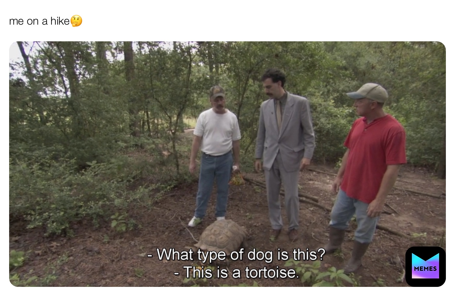 Post by @Lemon_Grenade | Memes