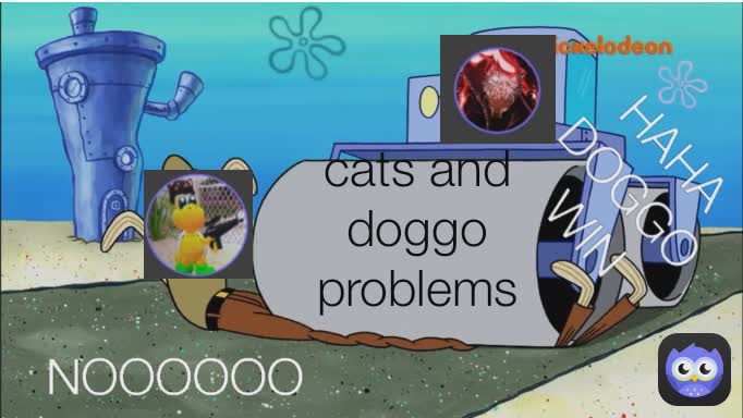 cats and doggo problems HAHA DOGGO WIN NOOOOOO | @HataNoKokoro | Memes