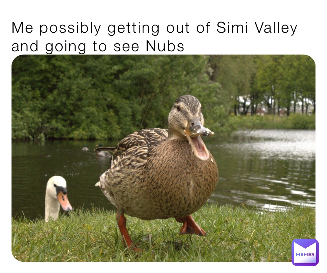 Let’s take Rochell out of Simi Valley she doesn’t belong there and ...