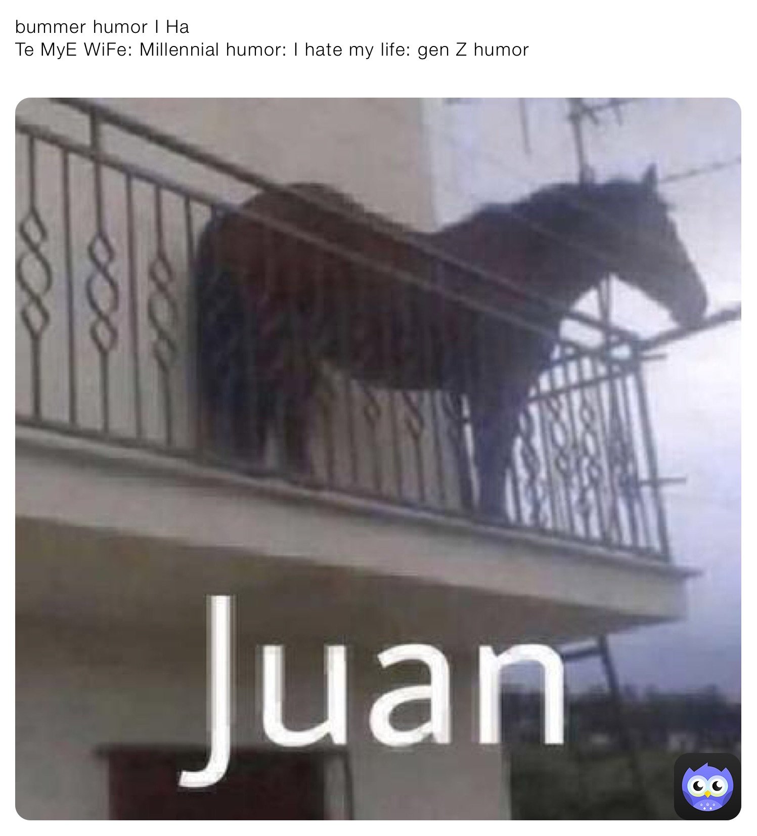 bummer humor I Ha Te MyE WiFe: Millennial humor: I hate my life: gen Z ...