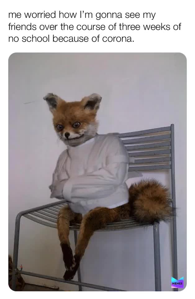 Post by @bad_life_not_working | Memes