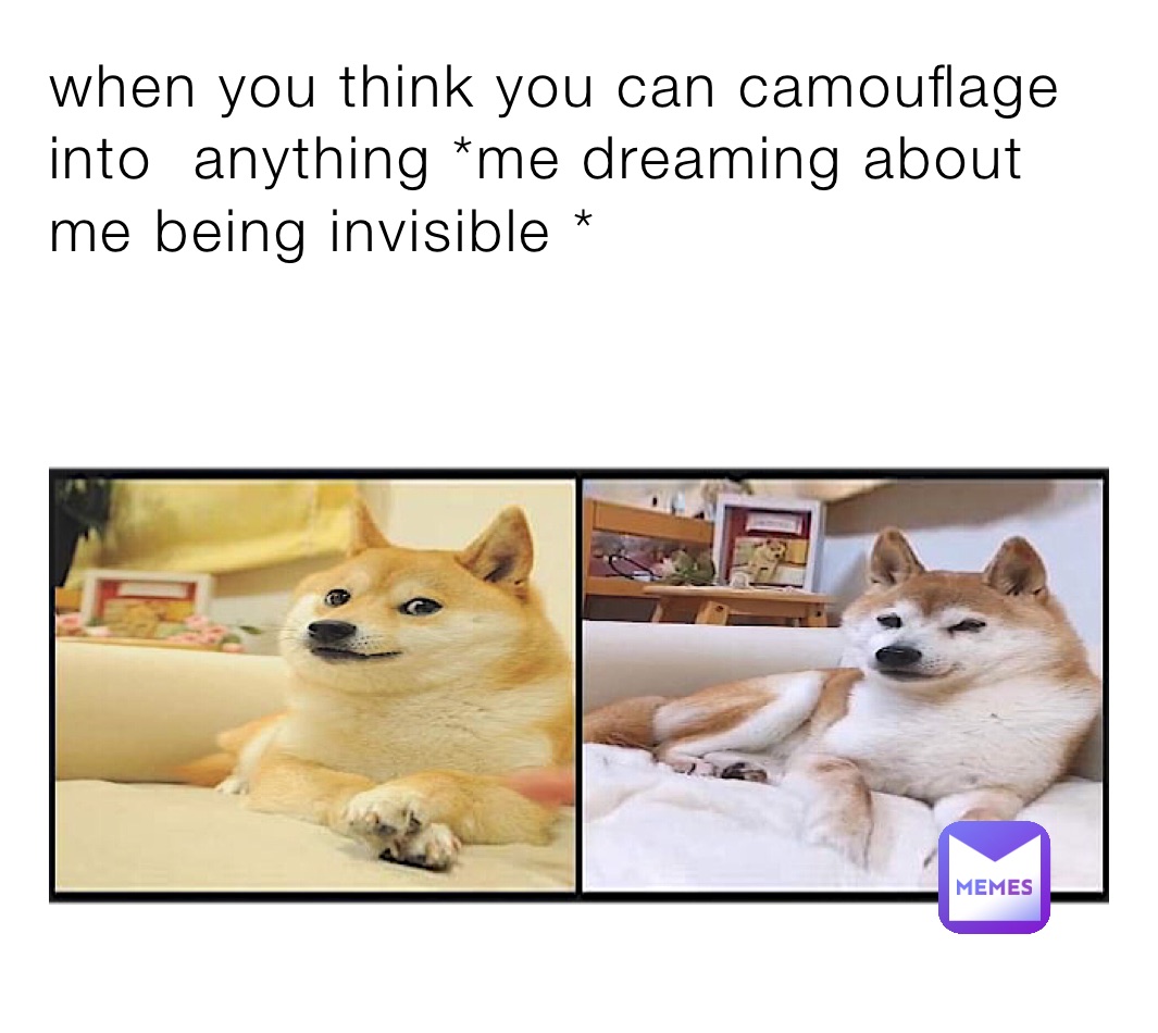 when you think you can camouflage into anything *me dreaming about me ...