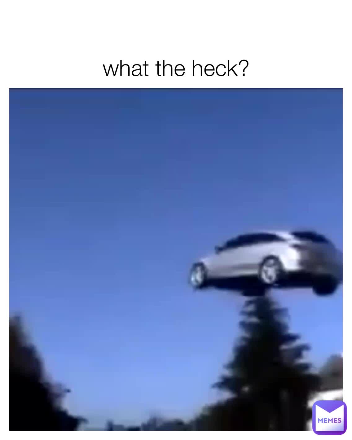 what the heck? | @Wowzeeiscool | Memes