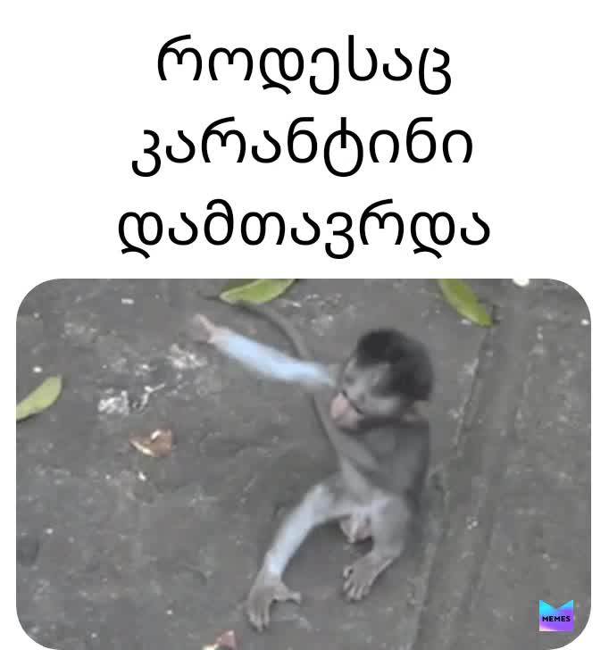 Post by @sandro.kakhiani | Memes