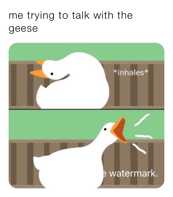 me trying to talk with the geese | @Oni0ns_have_layers | Memes