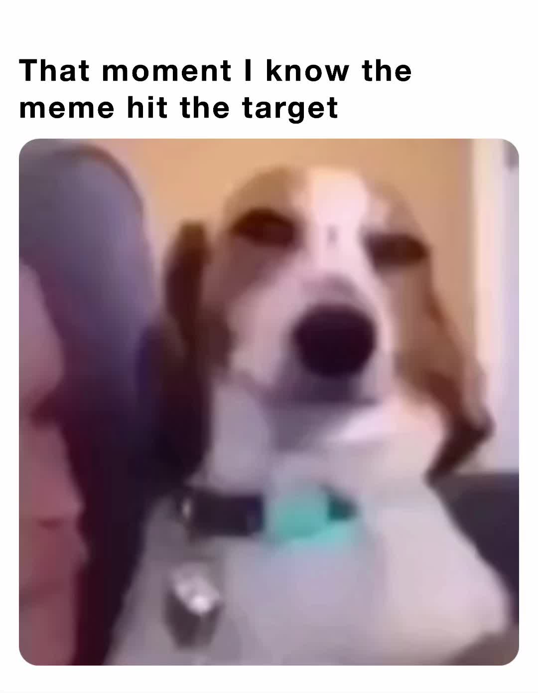 That moment I know the meme hit the target | @sig208 | Memes