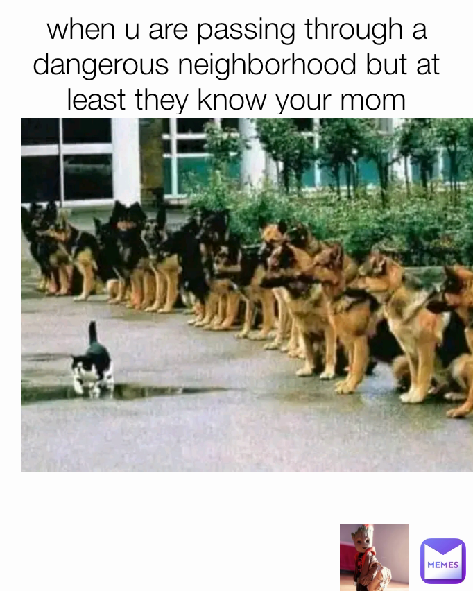 when u are passing through a dangerous neighborhood but at least they ...