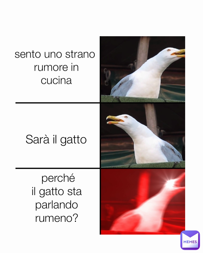 Sarà il gatto sento uno strano rumore in cucina perché il gatto sta ...
