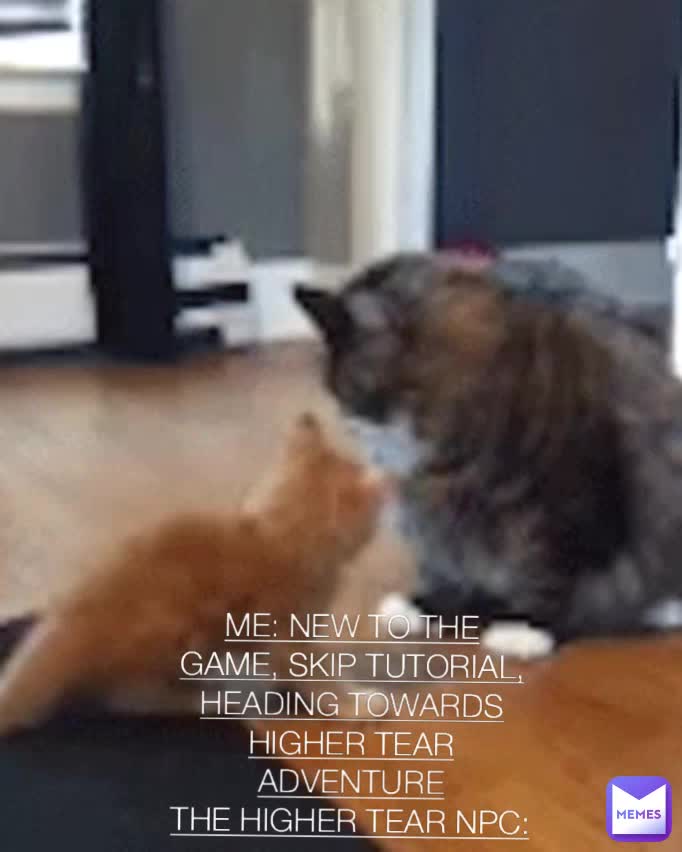 ME: NEW TO THE GAME, SKIP TUTORIAL, HEADING TOWARDS HIGHER TEAR ...