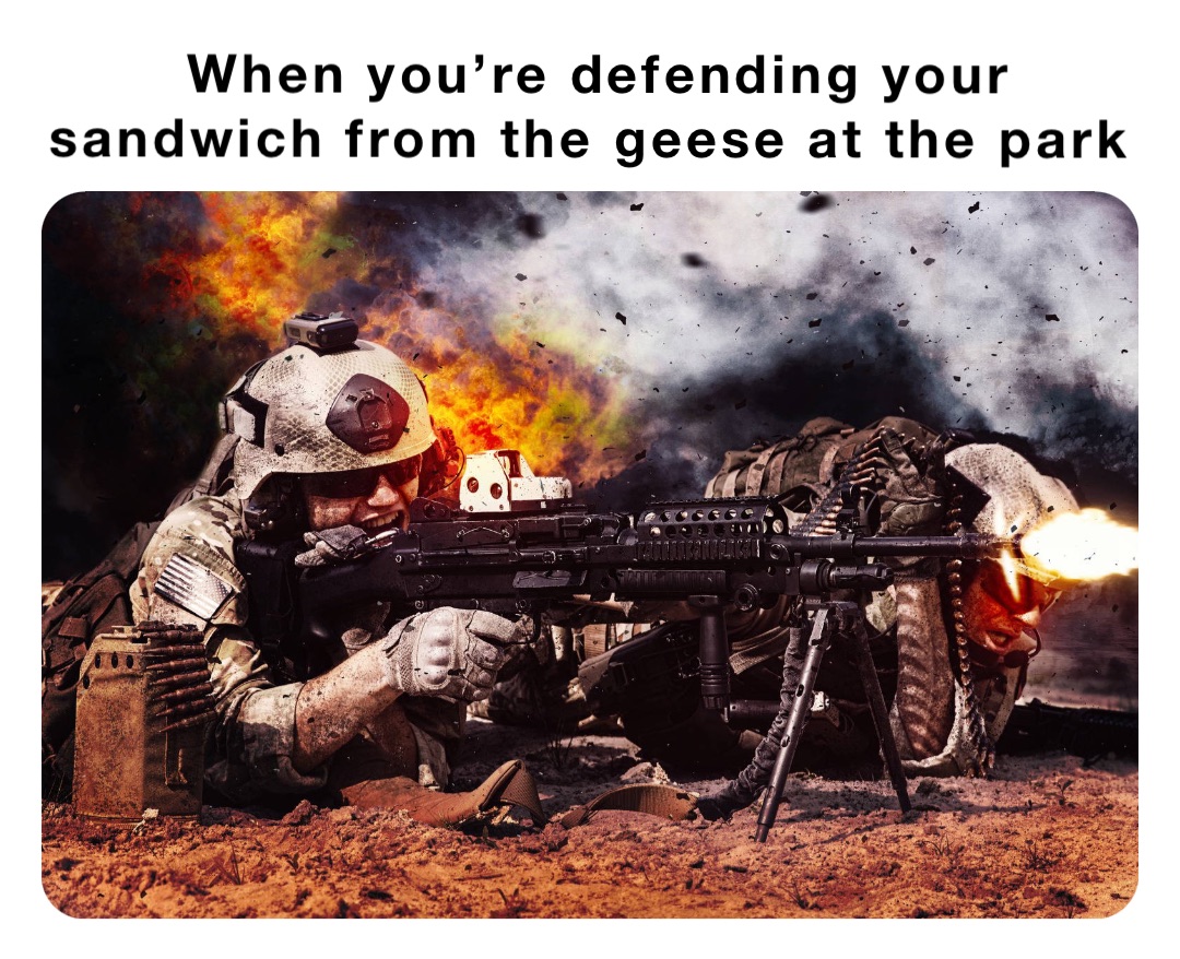 When you’re defending your sandwich from the geese at the park ...