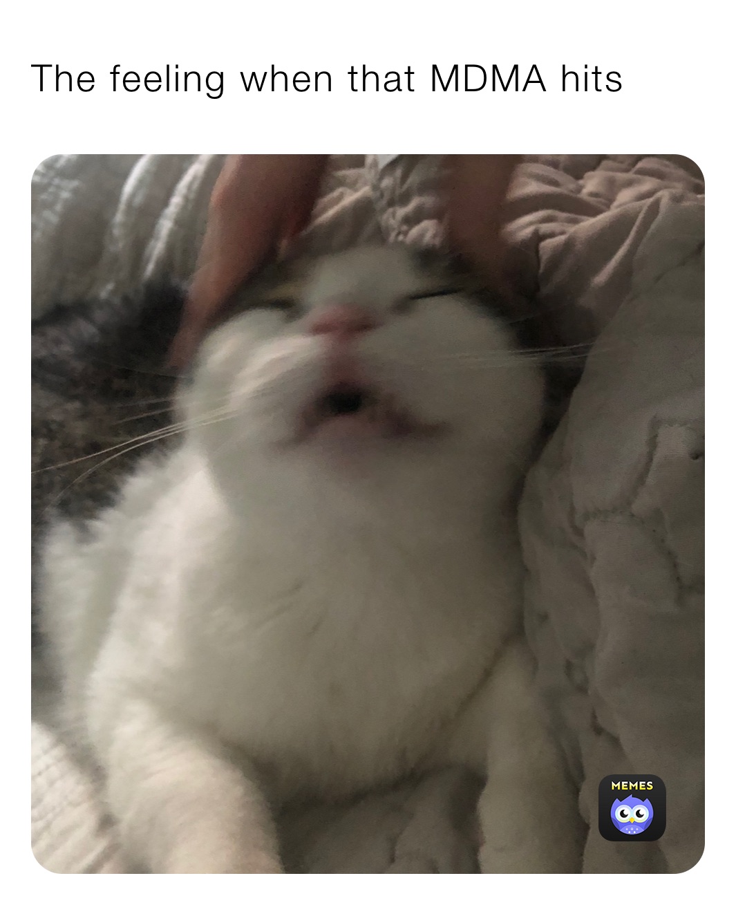 The feeling when that MDMA hits | @simon.kullberg | Memes