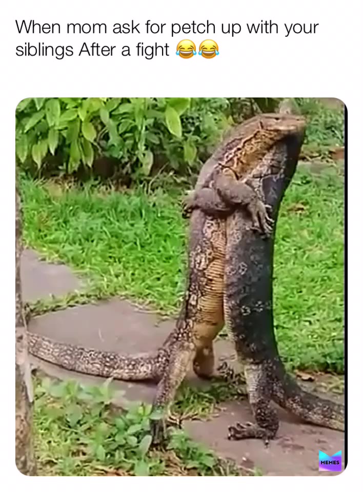 Monitor Lizard Memes