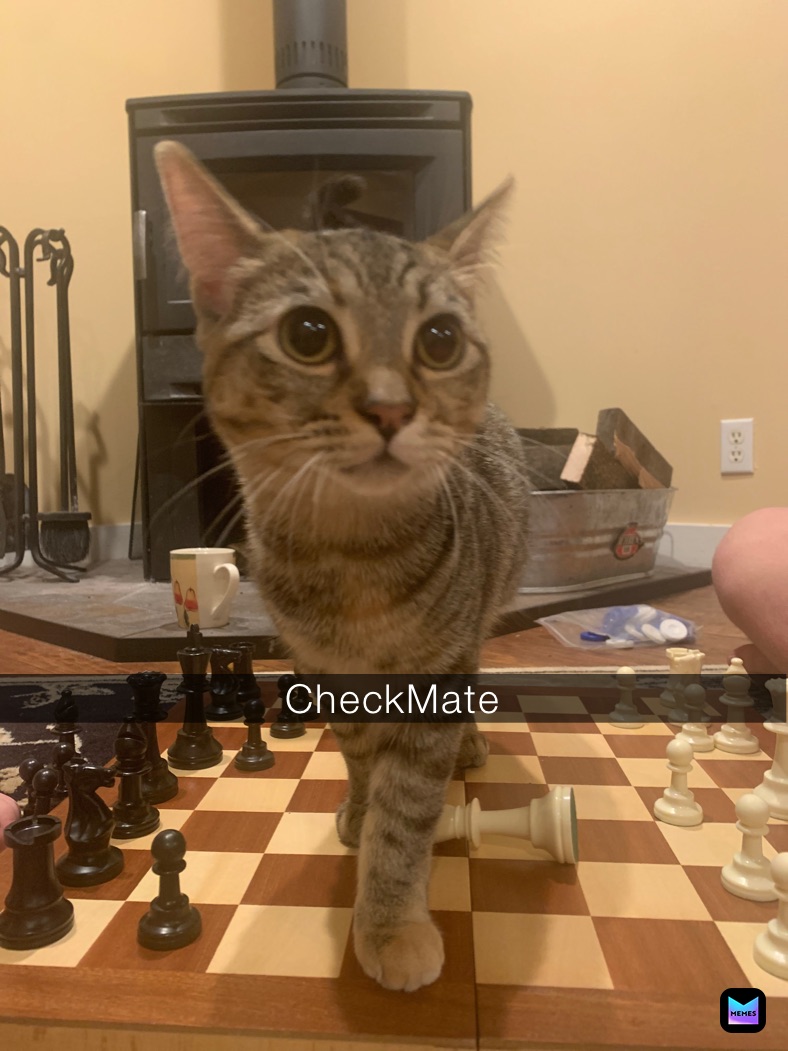 CheckMate | @HuskeyPlayz | Memes