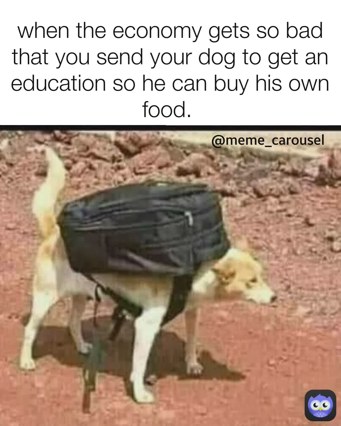 Post by @Meme_Carousel | Memes