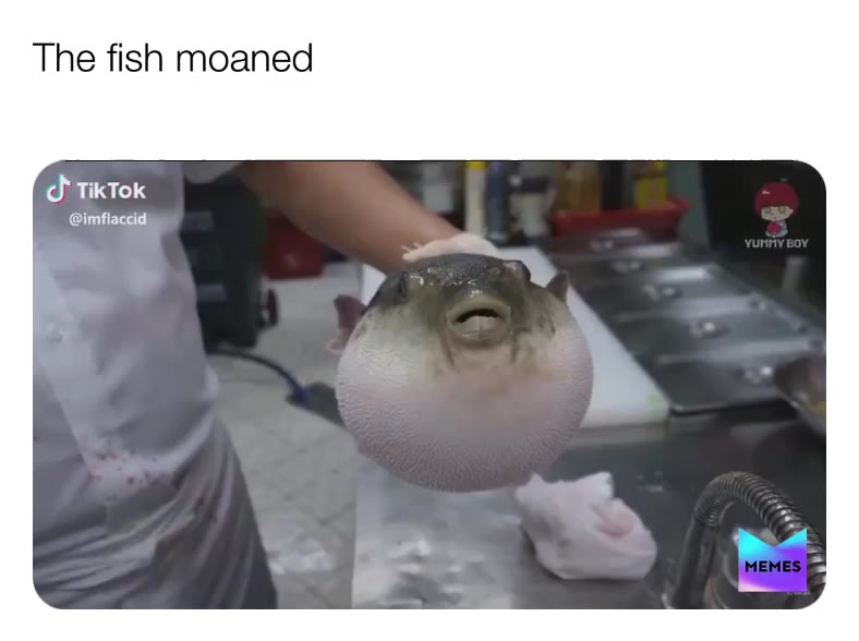 Post by @lea_bea | Memes