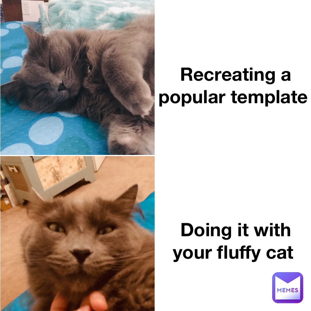 Recreating a popular template Doing it with your fluffy cat | @Eagle555 ...