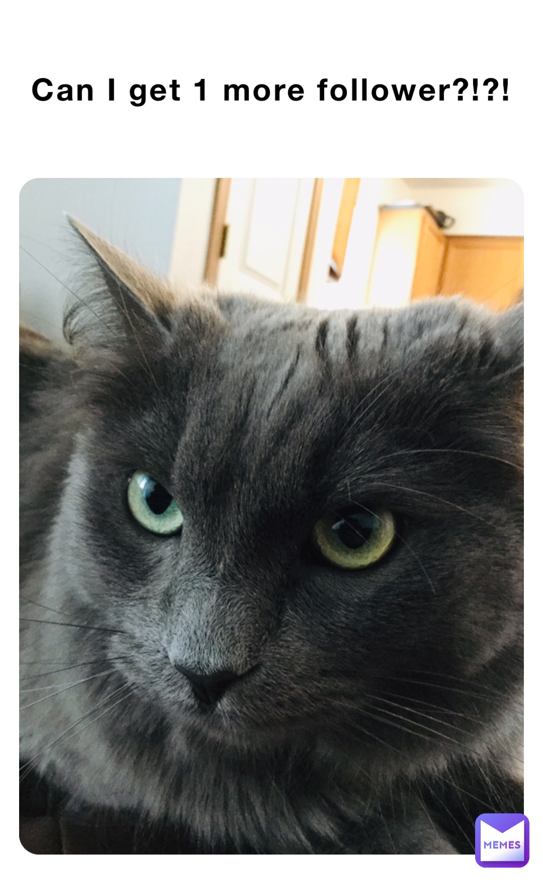 Can I get 1 more follower?!?! | @Eagle555 | Memes