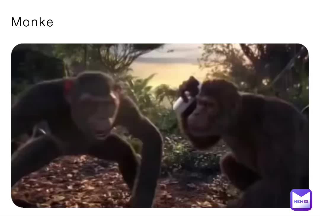 Monke | @Sketch_Draw | Memes