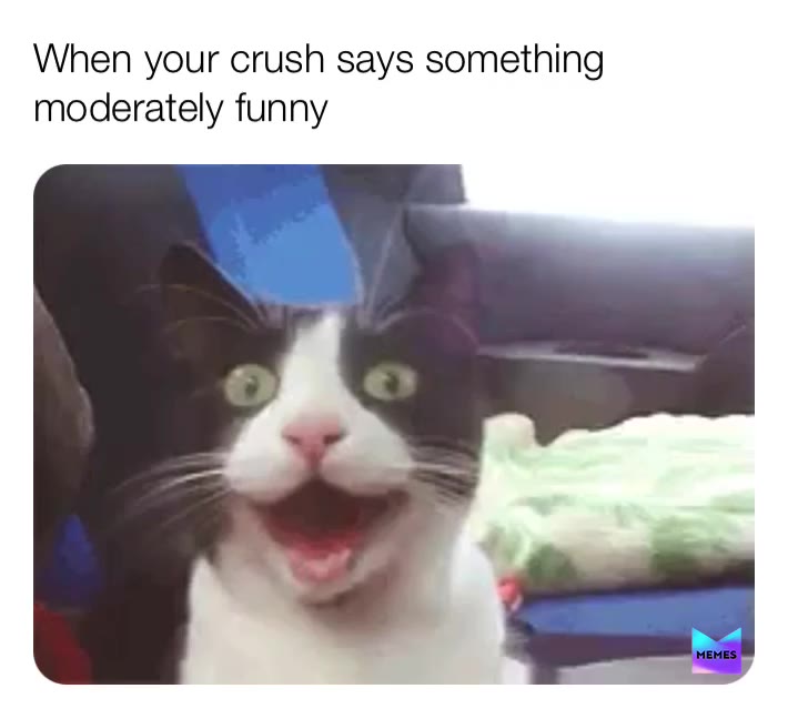 Post by @babygrill | Memes