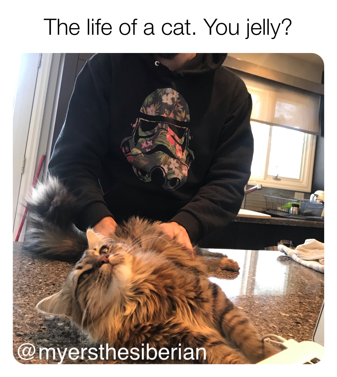 Post by @Myers_the_Sib | Memes