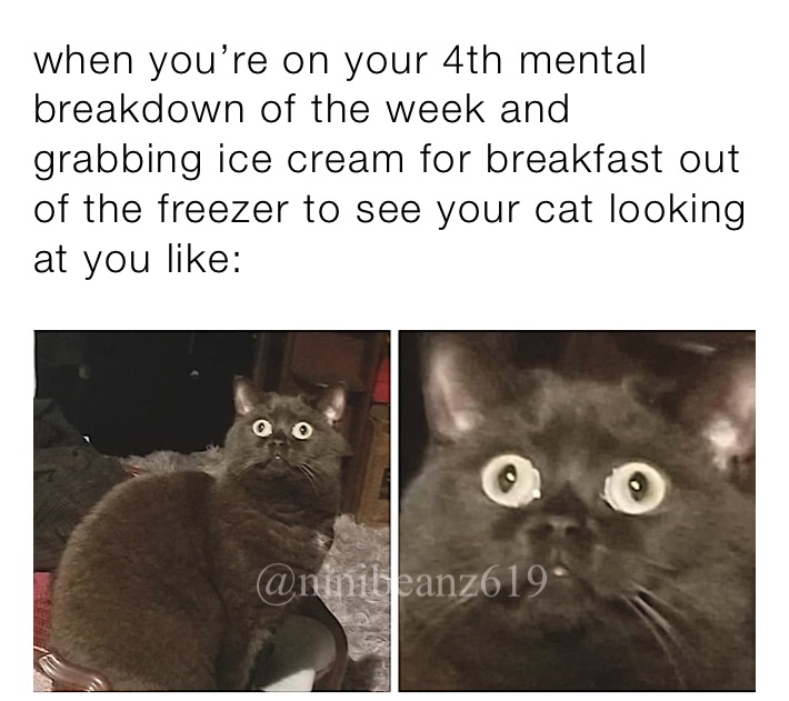 when you’re on your 4th mental breakdown of the week and grabbing ice ...