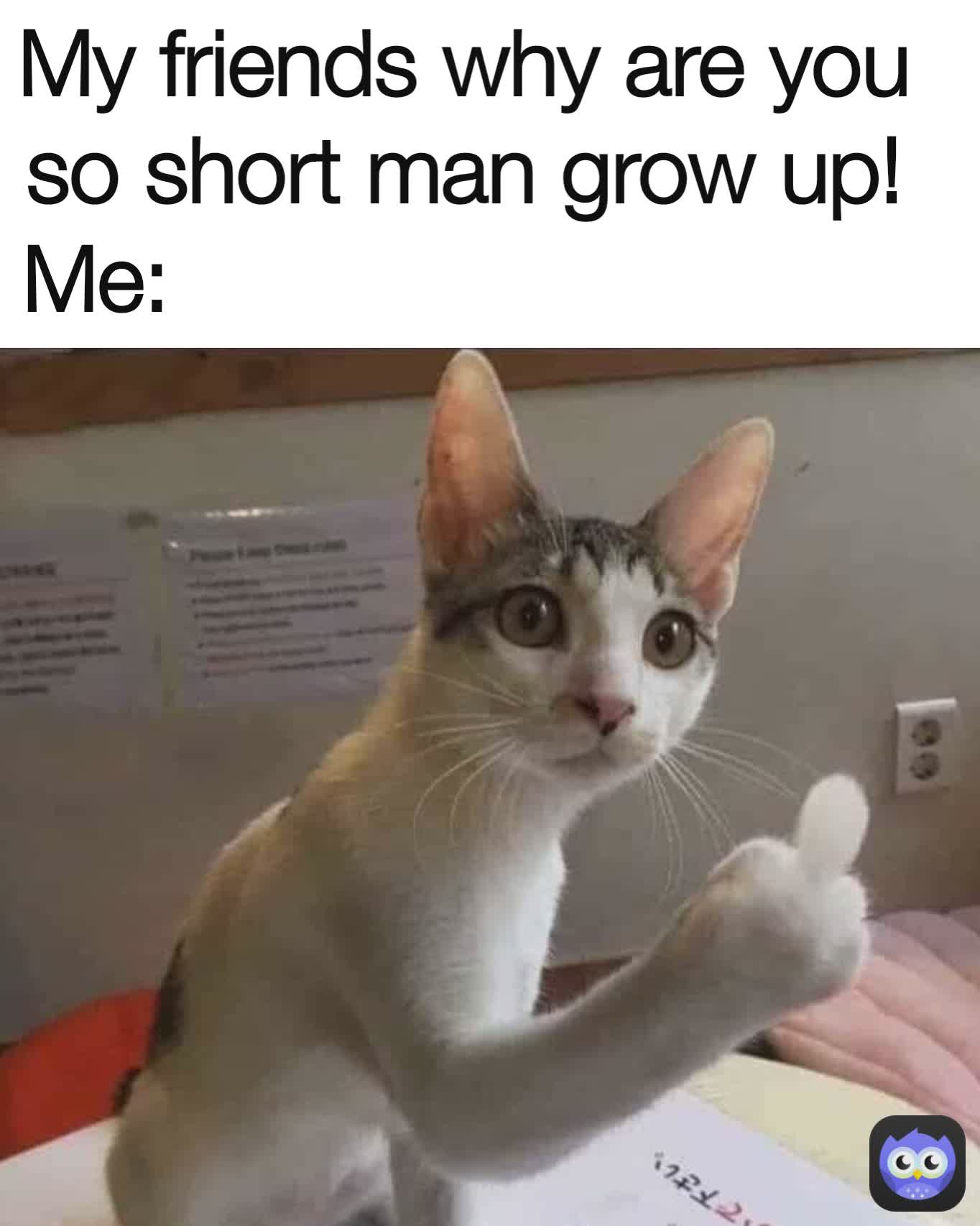 My friends why are you so short man grow up! Me: | @arikun | Memes
