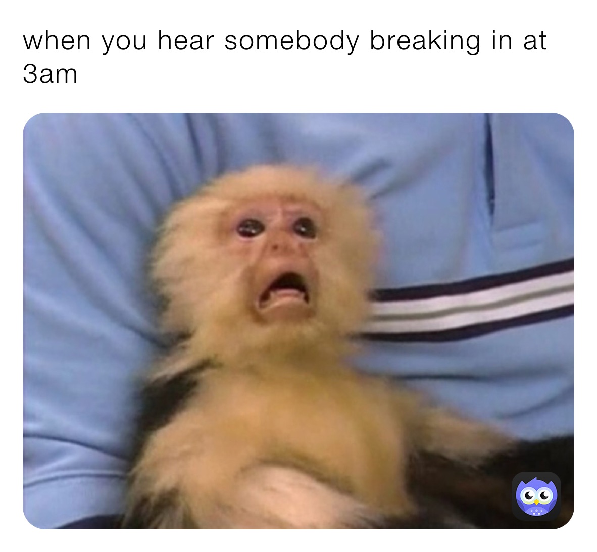 when you hear somebody breaking in at 3am | @memenub45646464664664 | Memes