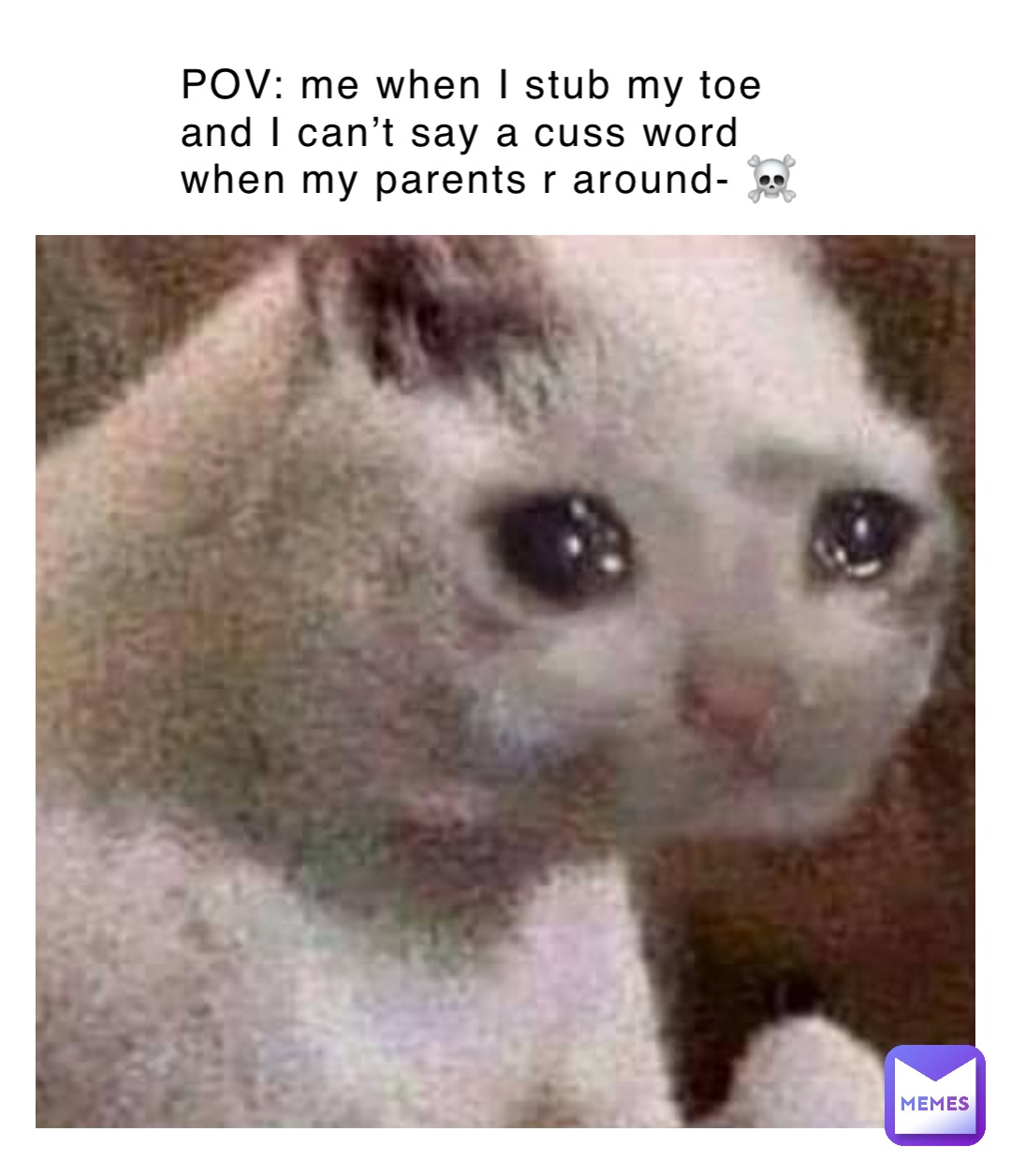 POV: me when I stub my toe and I can’t say a cuss word when my parents r around- ☠️ ...