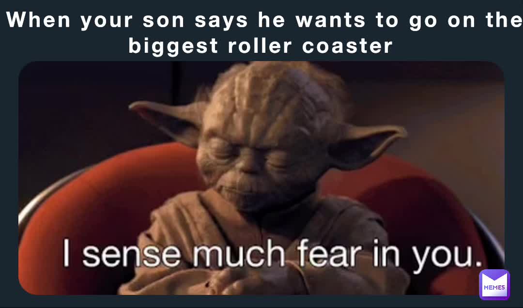 When your son says he wants to go on the biggest roller coaster | @The ...