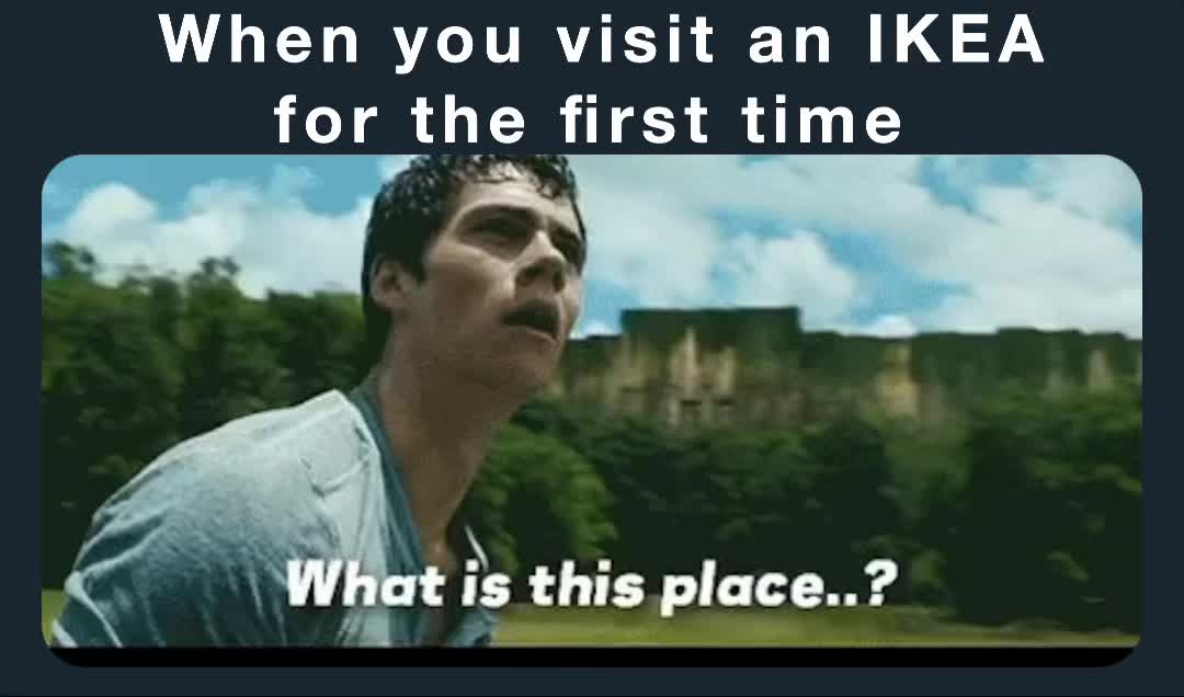 When you visit an IKEA for the first time | @The_Meminator | Memes