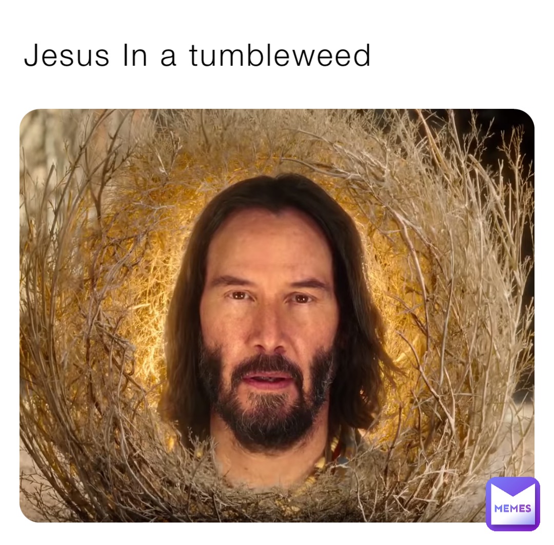 Jesus In a tumbleweed | @Dog_with_socks | Memes