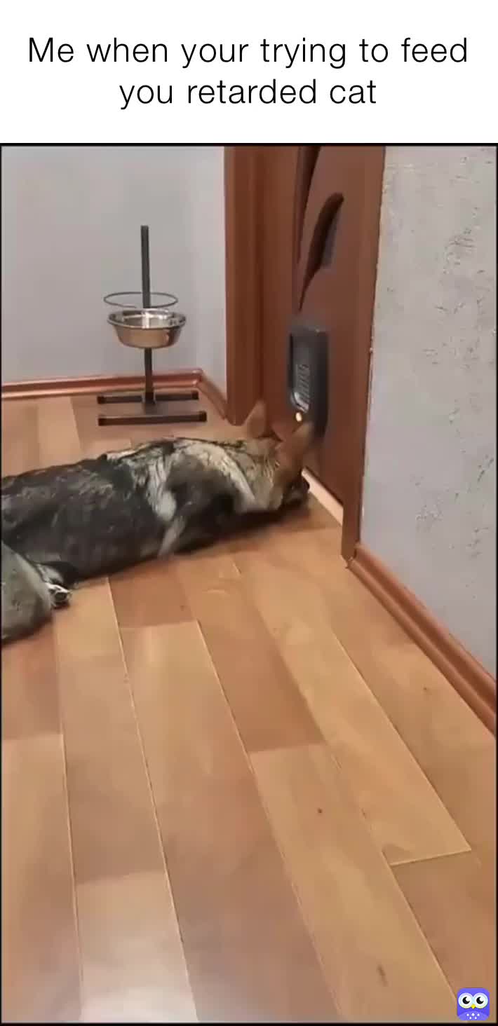 Me when your trying to feed you retarded cat | @veg123 | Memes