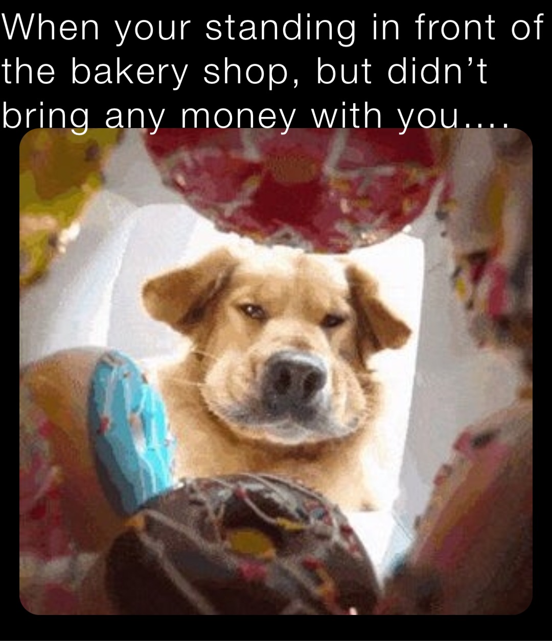 When your standing in front of the bakery shop, but didn’t bring any ...