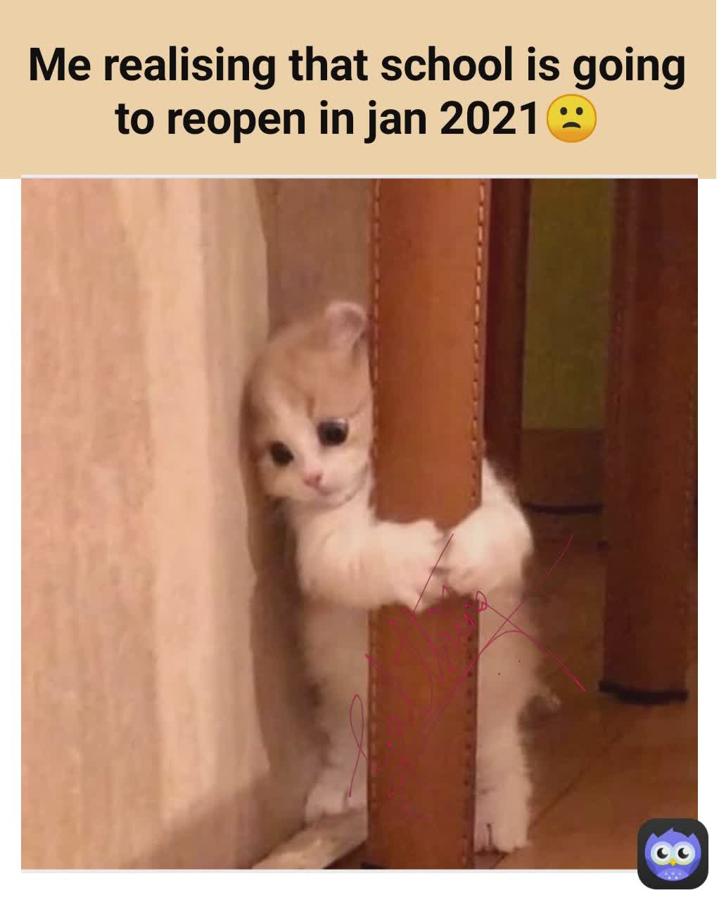 Me realising that school is going to reopen in jan 2021🙁 | @Gal_thing ...