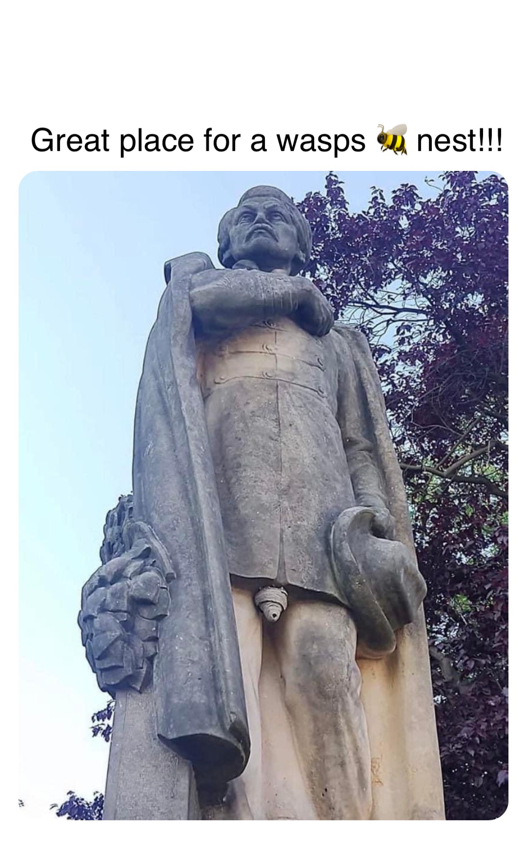 Double tap to edit Great place for a wasps 🐝 nest ...