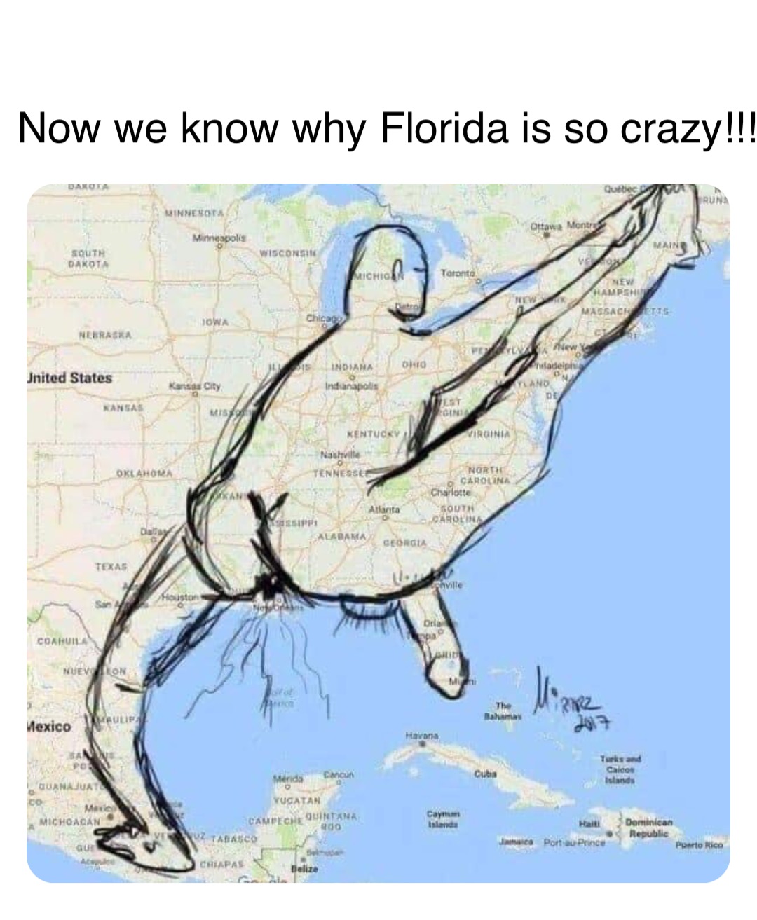 Double tap to edit Now we know why Florida is so crazy ...