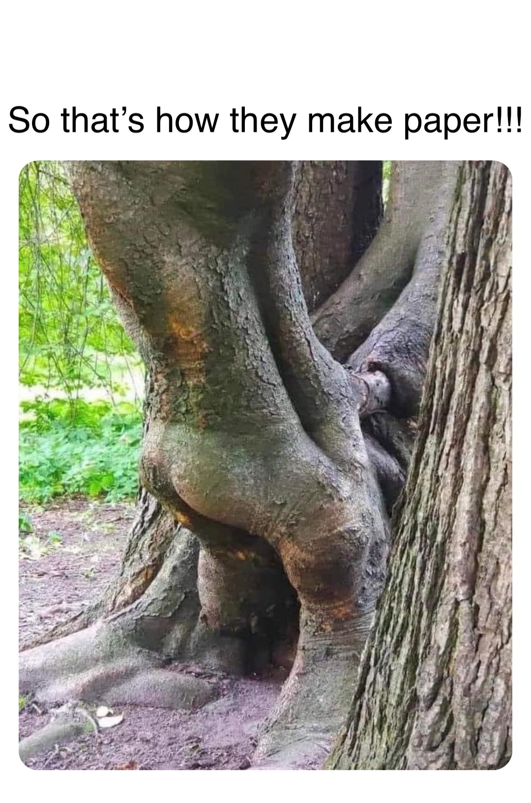 Double tap to edit So that’s how they make paper ...