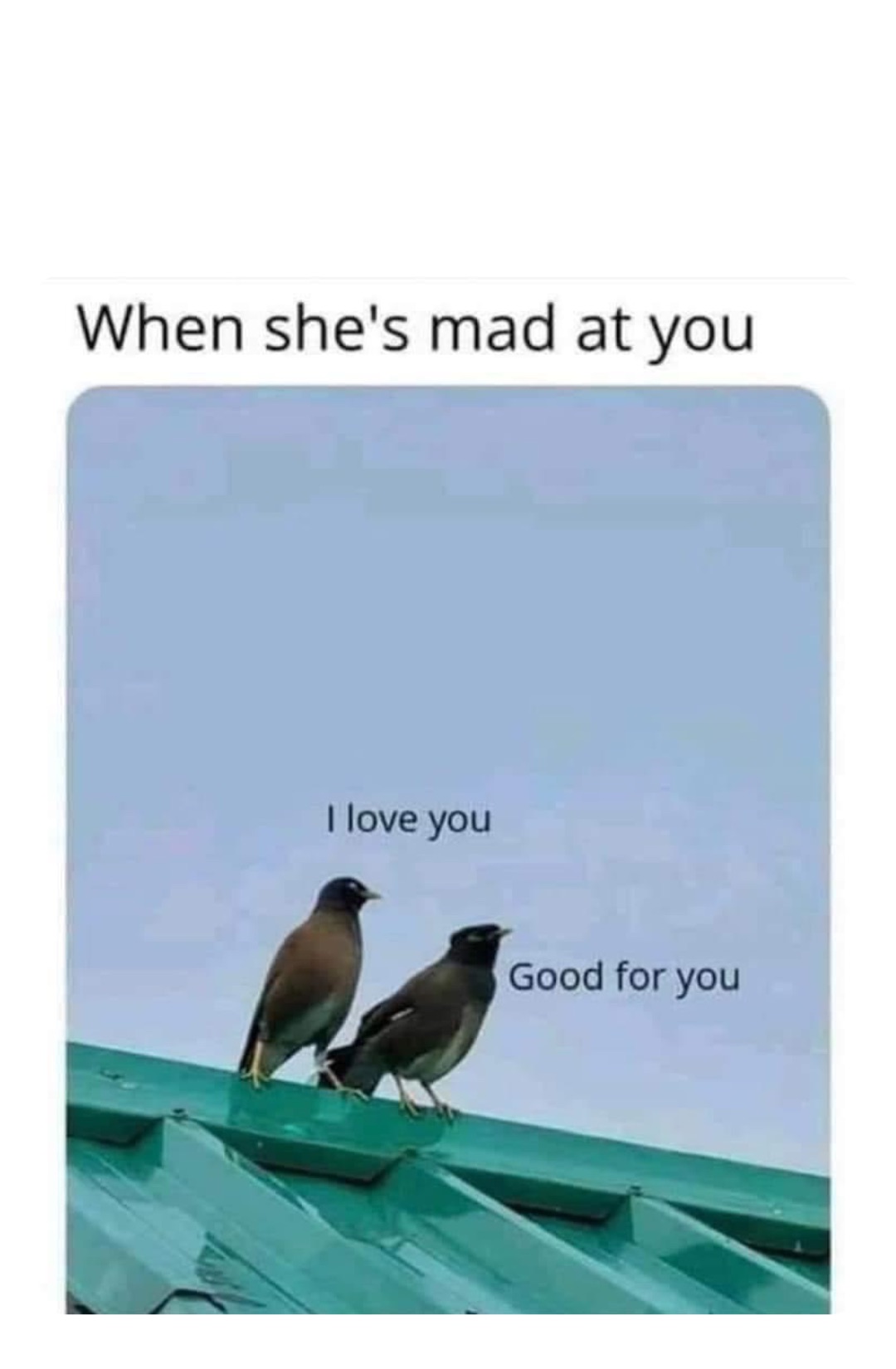 Double Tap To Edit robinhoodprinceofmemes Memes Double Tap To Edit robinhoodprinceofmemes Memes