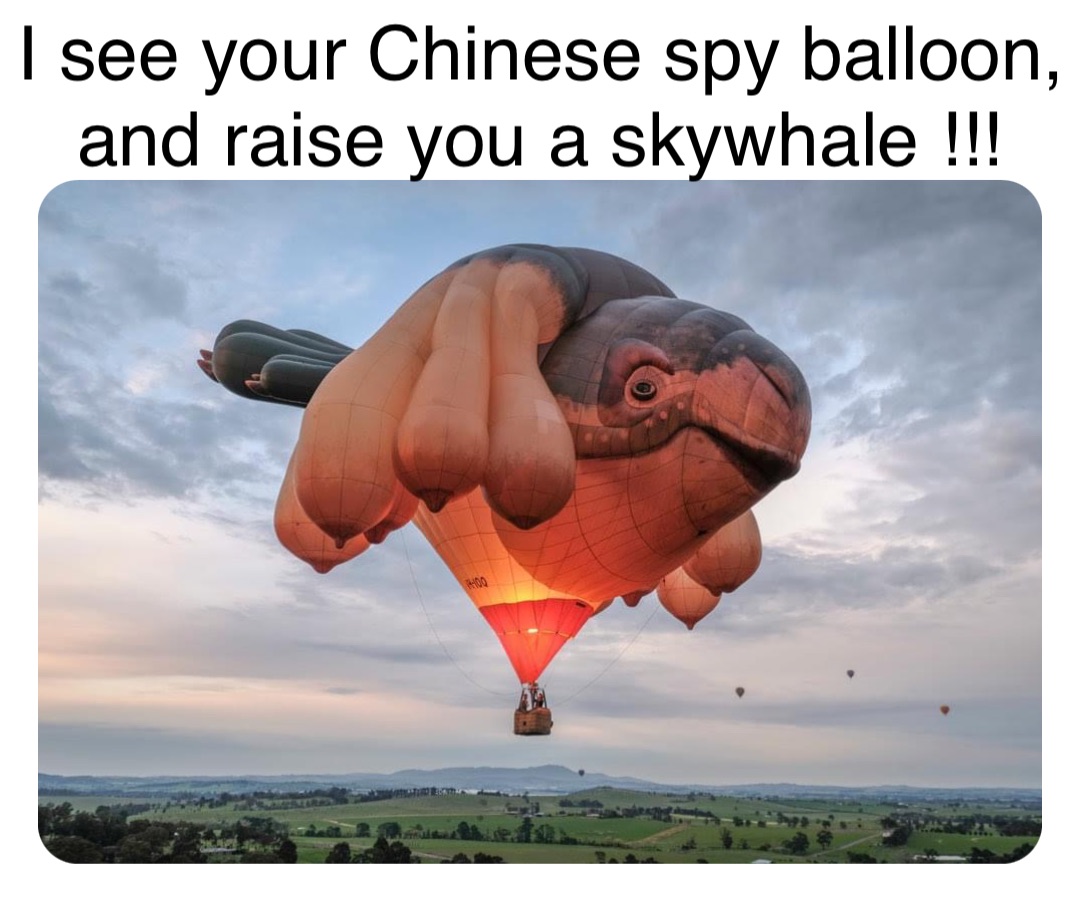 Double tap to edit I see your Chinese spy balloon, and raise you a ...